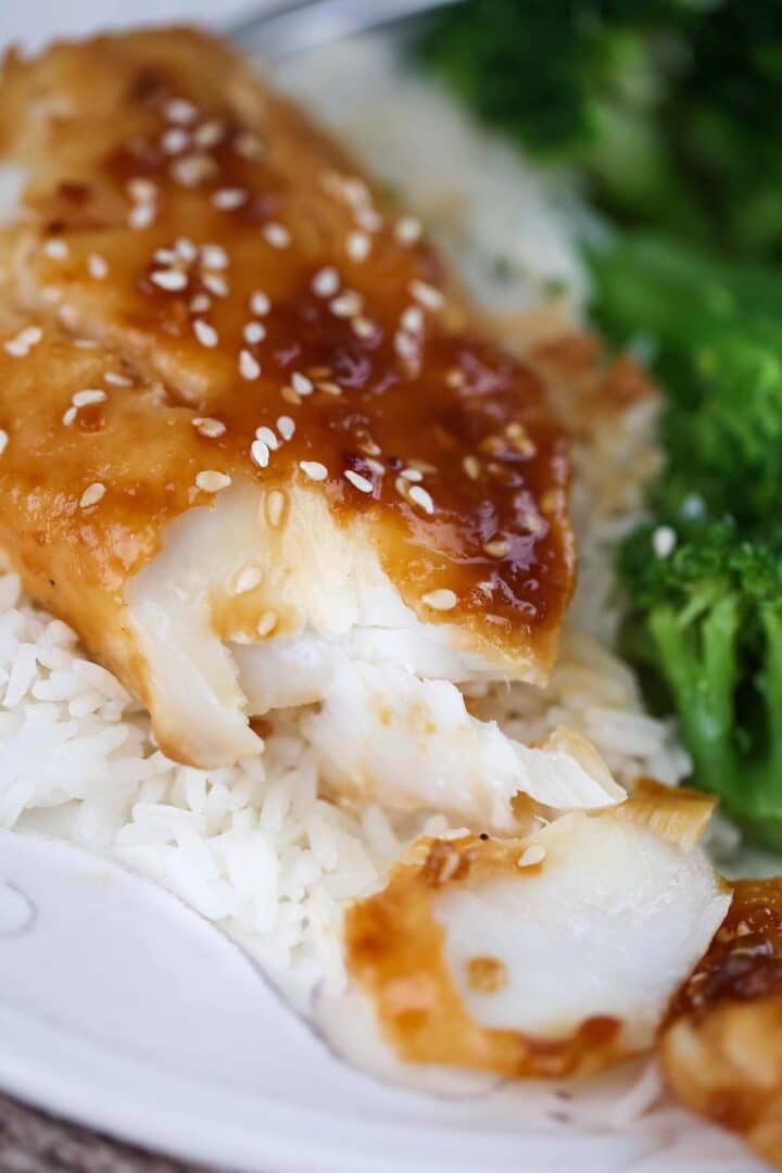 Baked Honey Miso Cod - Cooked by Julie